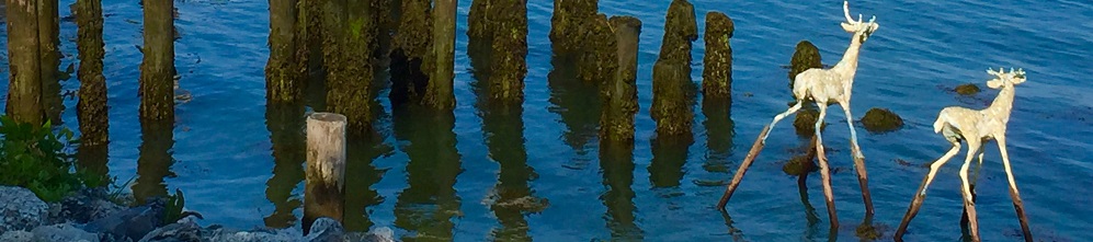 Local Programs – Immersion Programs